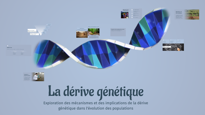 La dérive génétique by Vincent Dwitch on Prezi