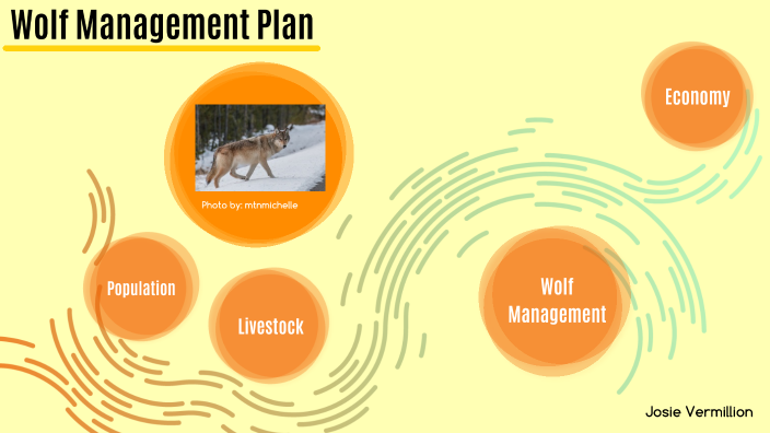 Wolf Management Plan by Josephina Vermillion on Prezi
