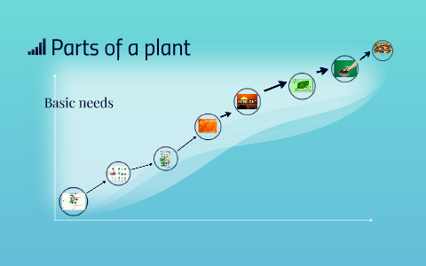 Parts of a plant - Basic Needs by Paco Jaén Otero on Prezi