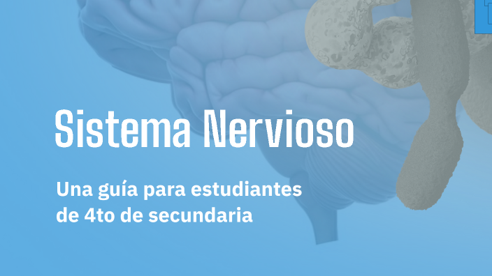 Sistema Nervioso by Monica Cueto on Prezi