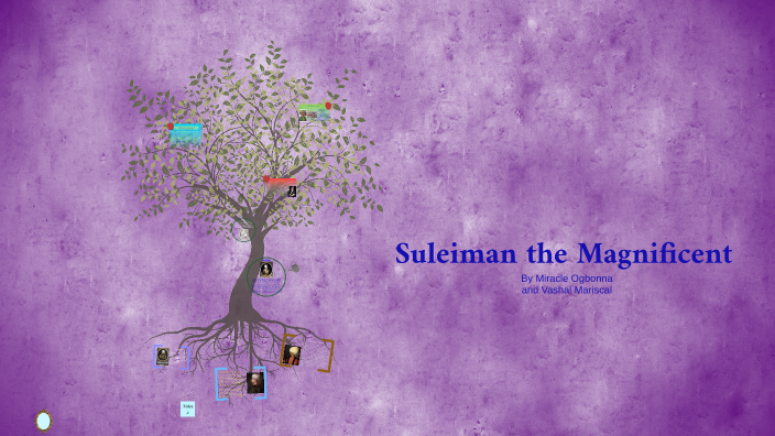 The Significance of the Reign of Suleiman the Magnificent during the ...
