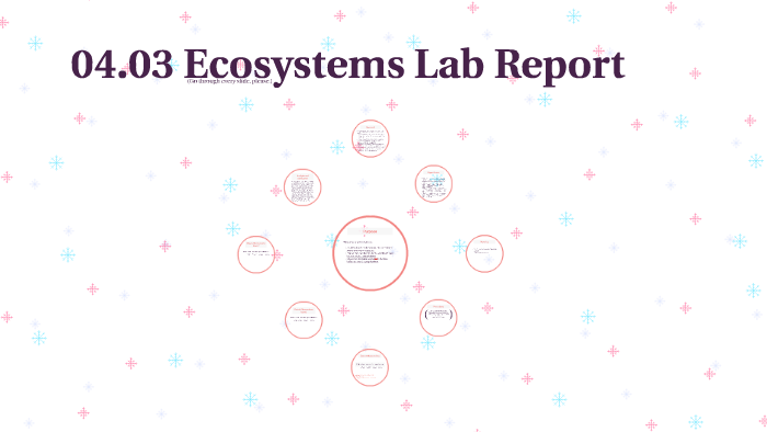 04.03 Ecosystems Lab Report by Marlon Walcott on Prezi