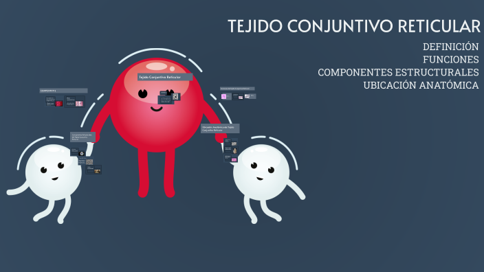 Tejido Conectivo Reticular by SUSAN VARAS SILV on Prezi