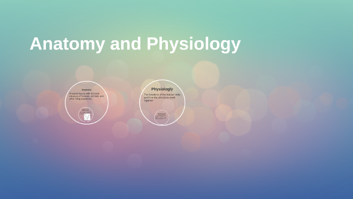 Anatomy and Physiology by Sara Lindell