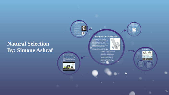 Natural Selection by Simone Shariq Ashraf on Prezi