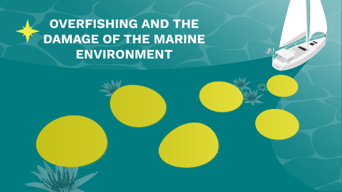 OVERFISHING AND THE DAMAGE OF THE MARINE ENVIRONMENT by Lara García on ...