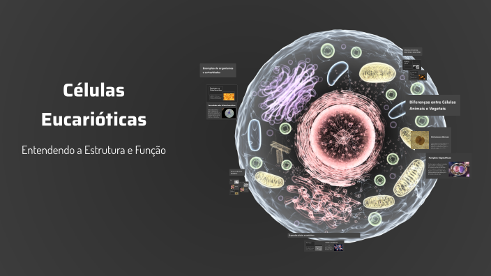 Células Eucarióticas by maria fatima on Prezi