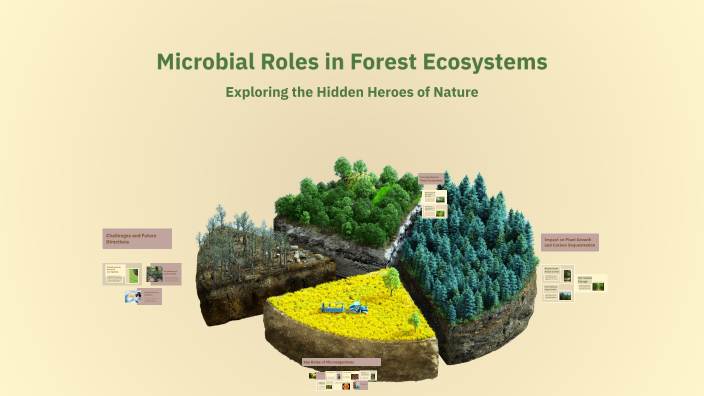 Microbial Roles in Forest Ecosystems by Rishav Verma on Prezi
