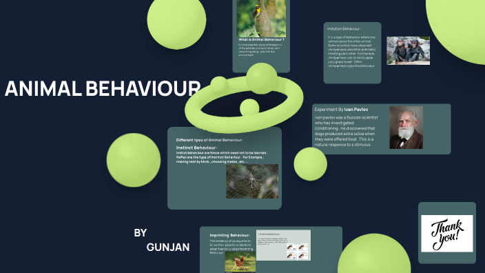 GUNJAN 9TH TATA BIOLOGY by MAHENDER ALGOT on Prezi