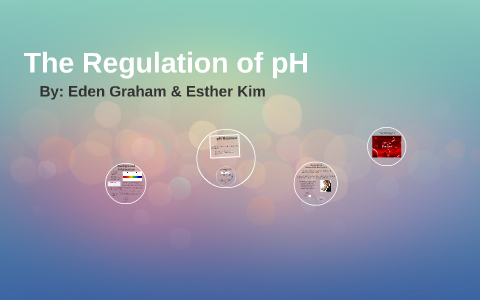 The Regulation of pH in the Blood by Eden Graham on Prezi