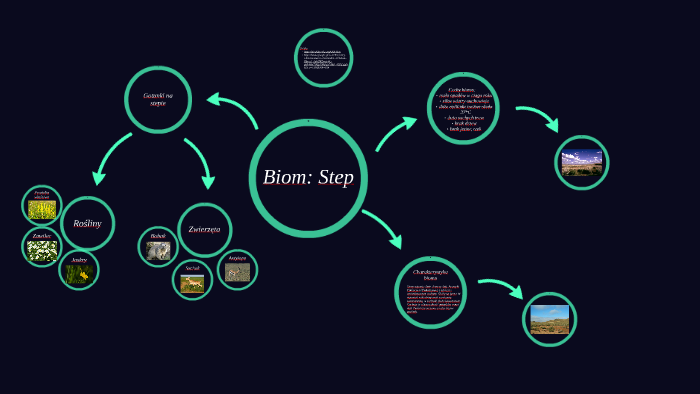 Biom: Step by Martyna M on Prezi
