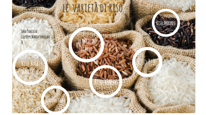 Le varietà di riso by Sara Paolillo on Prezi