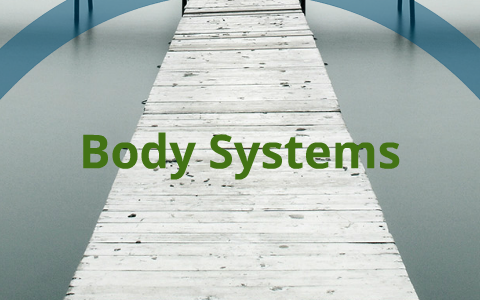 Reproductive and Uninary Systems by Lois Brennecke on Prezi