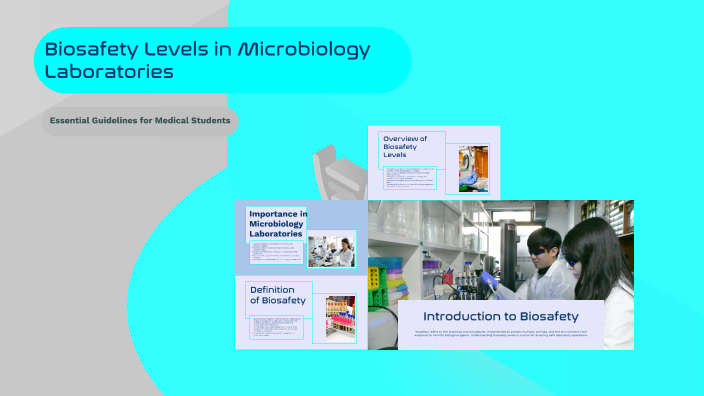 Biosafety Levels in Microbiology Laboratories by Shehla Unmbreen on Prezi