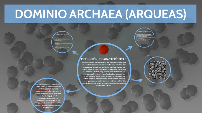 DOMINIO ARCHAEA (ARQUEAS) by Raul valerio on Prezi