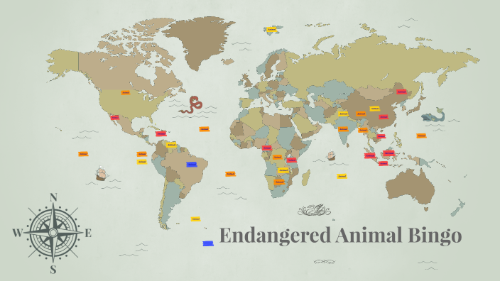 Endangered Animal Bingo by Ben Lepley on Prezi