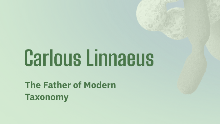 Carlous Linnaeus by R J on Prezi