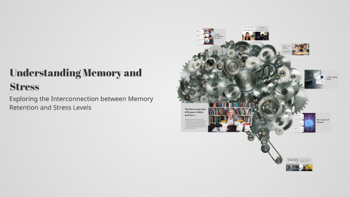 Understanding Memory and Stress by Kenan on Prezi