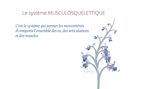 Le système Musculosquelettique by Mylène Poulin on Prezi