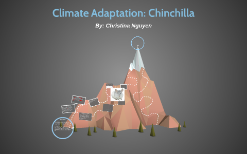 Climate Adaptation: Chinchilla by Christina Nguyen on Prezi