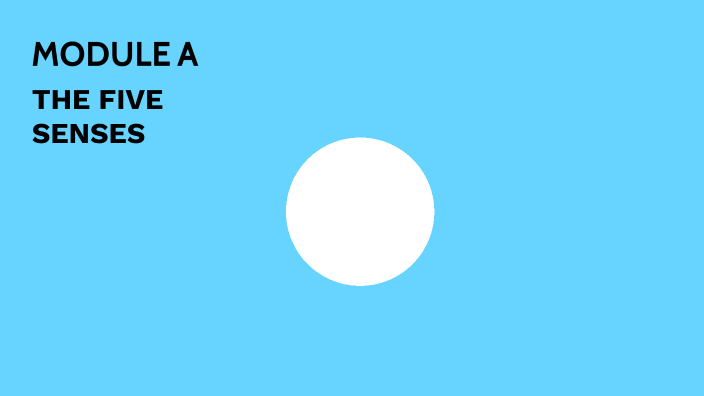 MODULE A by Malak S on Prezi