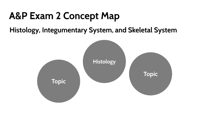 A&P Exam 2 Concept Map: Ch. 4-6 by Maddie Gossett on Prezi