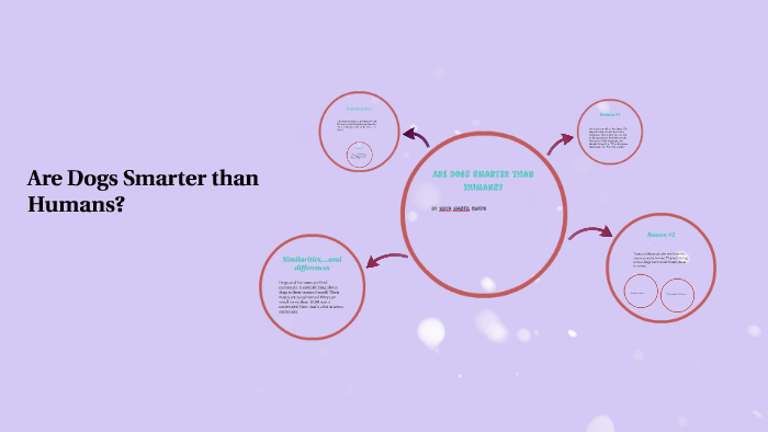 Are Dogs Smarter Than Humans By Maya Clancy On Prezi