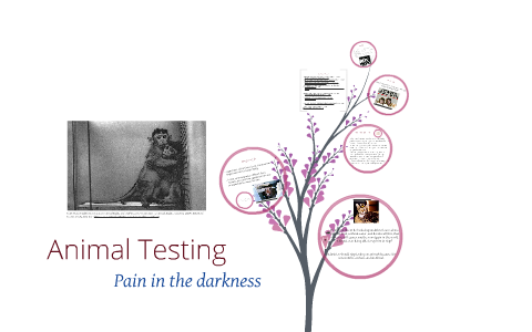 Animal experimentation by Cinthia Meraz on Prezi