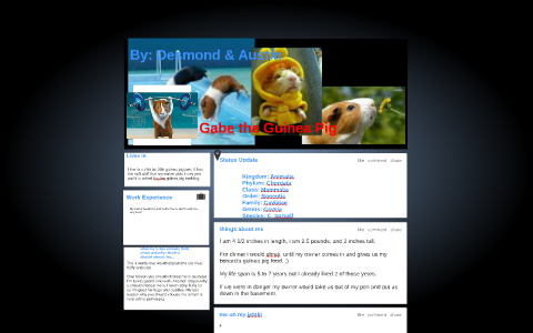 Gabe the Guinea Pig by Desmond Brown on Prezi