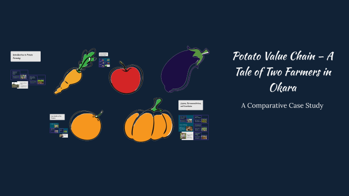Potato Value Chain – A Tale of Two Farmers in Okara by Freelancer Hamza ...