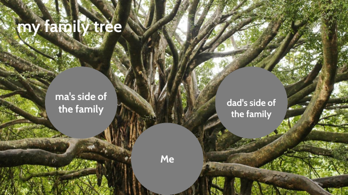 Harper's family tree by Harp Daddy on Prezi