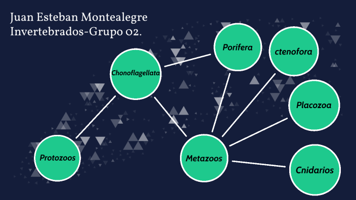 metazoos 1 part. by juanes montealegre on Prezi