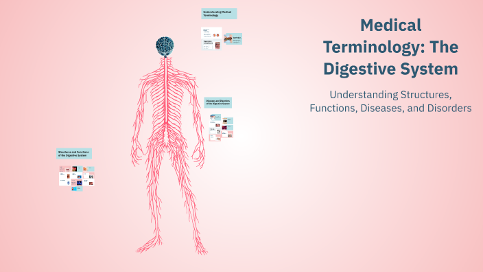 Medical Terminology: The Digestive System by Heidi Beardsley on Prezi