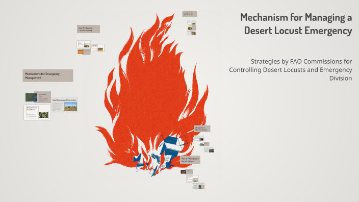 Mechanism for Managing a Desert Locust Emergency by on Prezi