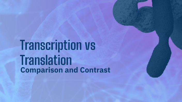 Transcription vs Translation by Elizabeth Dumpleton on Prezi