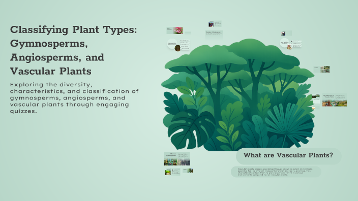 Classifying Plant Types: Gymnosperms, Angiosperms, and Vascular Plants ...