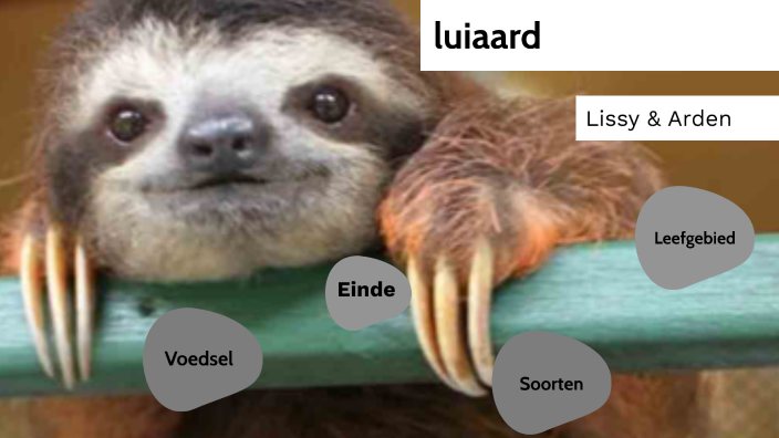 Luiaard by Lissy Snoeren on Prezi