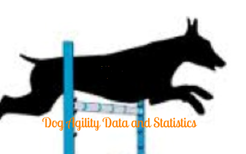 Dog Agility Stats by Amy M.