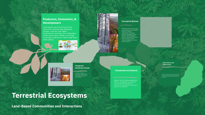 Terrestrial Ecosystems by Ishana Kurhekar _ Student - ParksideE on Prezi