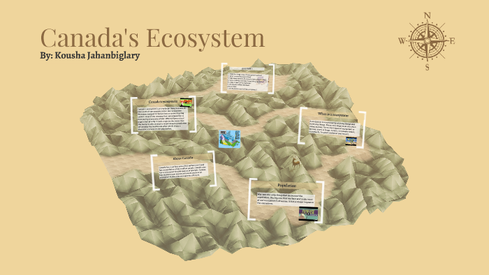 Canada's Ecosystem by Mojan Jahanbiglary on Prezi