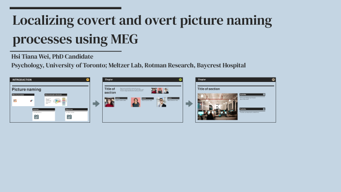 Localizing covert and overt picture naming processes using MEG by Tiana ...