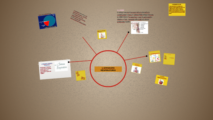 Apparato Respiratorio by Anna Passini on Prezi