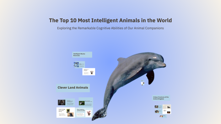 The Top 10 Most Intelligent Animals in the World by Odilon Felix on Prezi