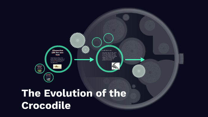 The Evolution of Crocodile by Rene Coronado on Prezi