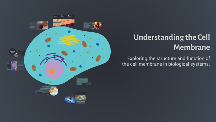 Understanding the Cell Membrane by Vijayaraghavan on Prezi