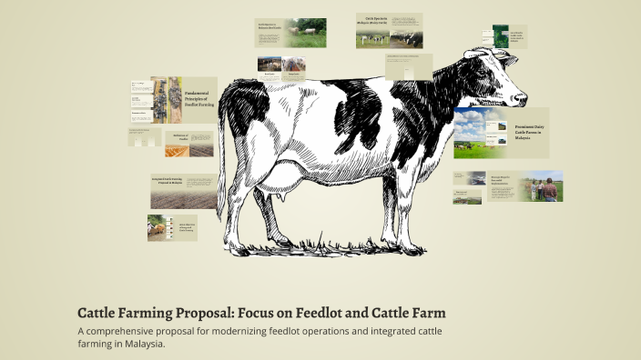 Cattle Farming Proposal: Focus on Feedlot and Cattle Farm by Nor ...