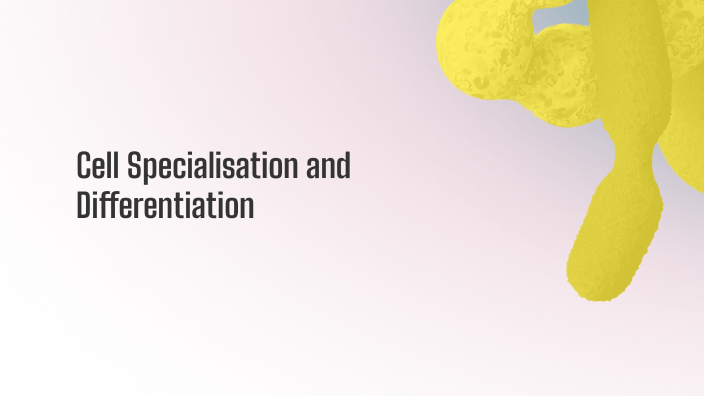 Cell Specialisation and Differentiation by Siron Chan on Prezi