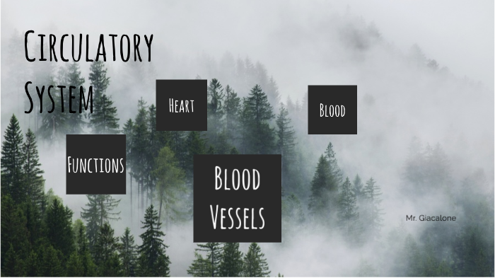 Circulatory System by Matt Giacalone on Prezi