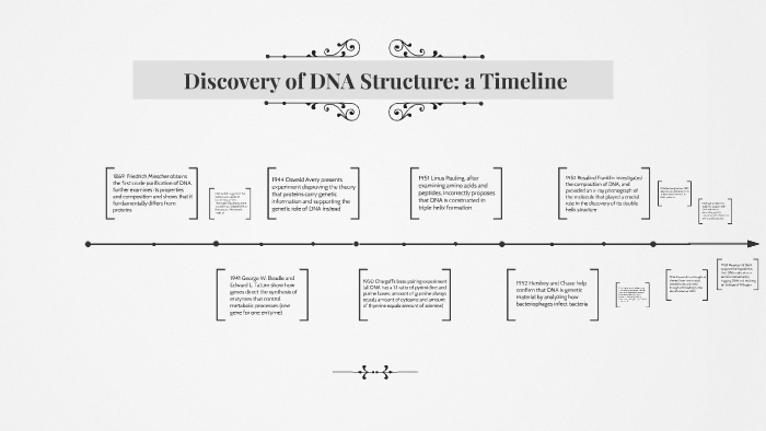 Discovery of DNA Structure: a Timeline by Thomas Calder on Prezi