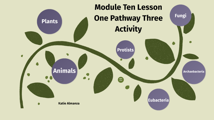 Module Ten Lesson One Pathway Three Activity by K Almanza on Prezi